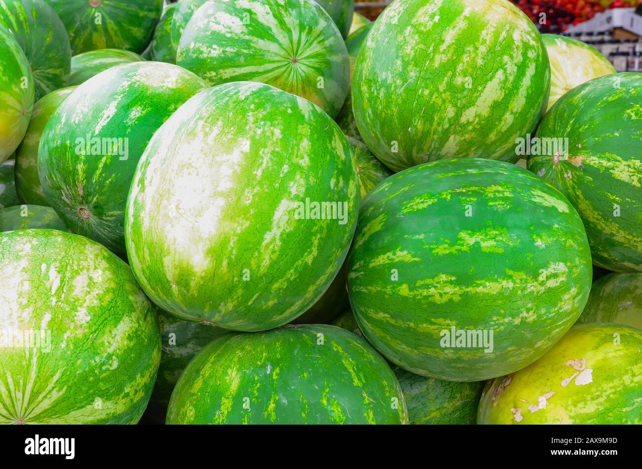 Bunch of raw whole watermelons background at farmer market in America ...