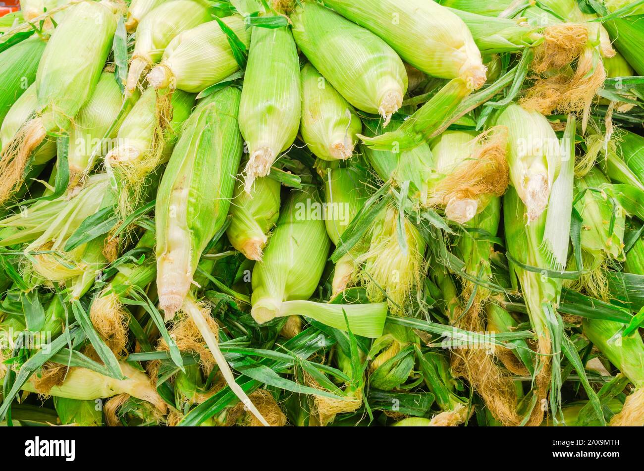 Corn starch plastic hi-res stock photography and images - Alamy