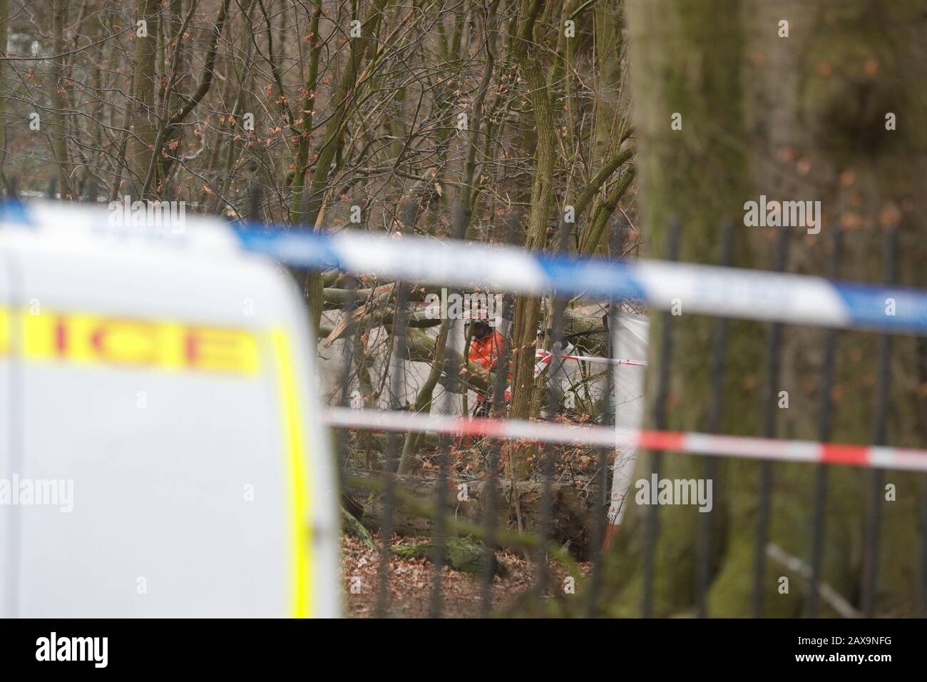Injured tree hi-res stock photography and images - Alamy