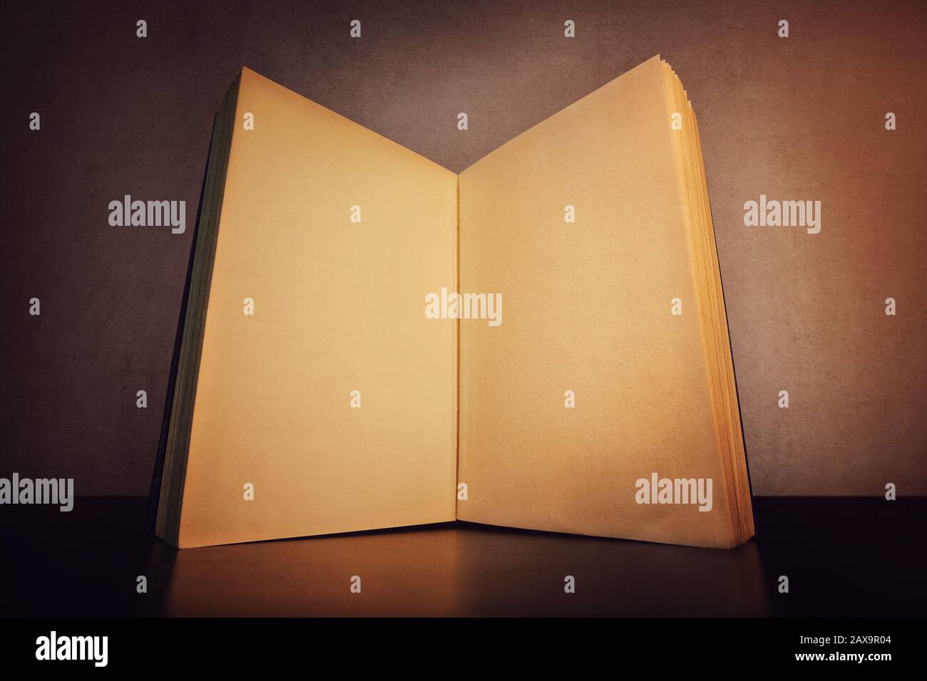 Close up a open book, on the table, with golden blank pages. Old ...