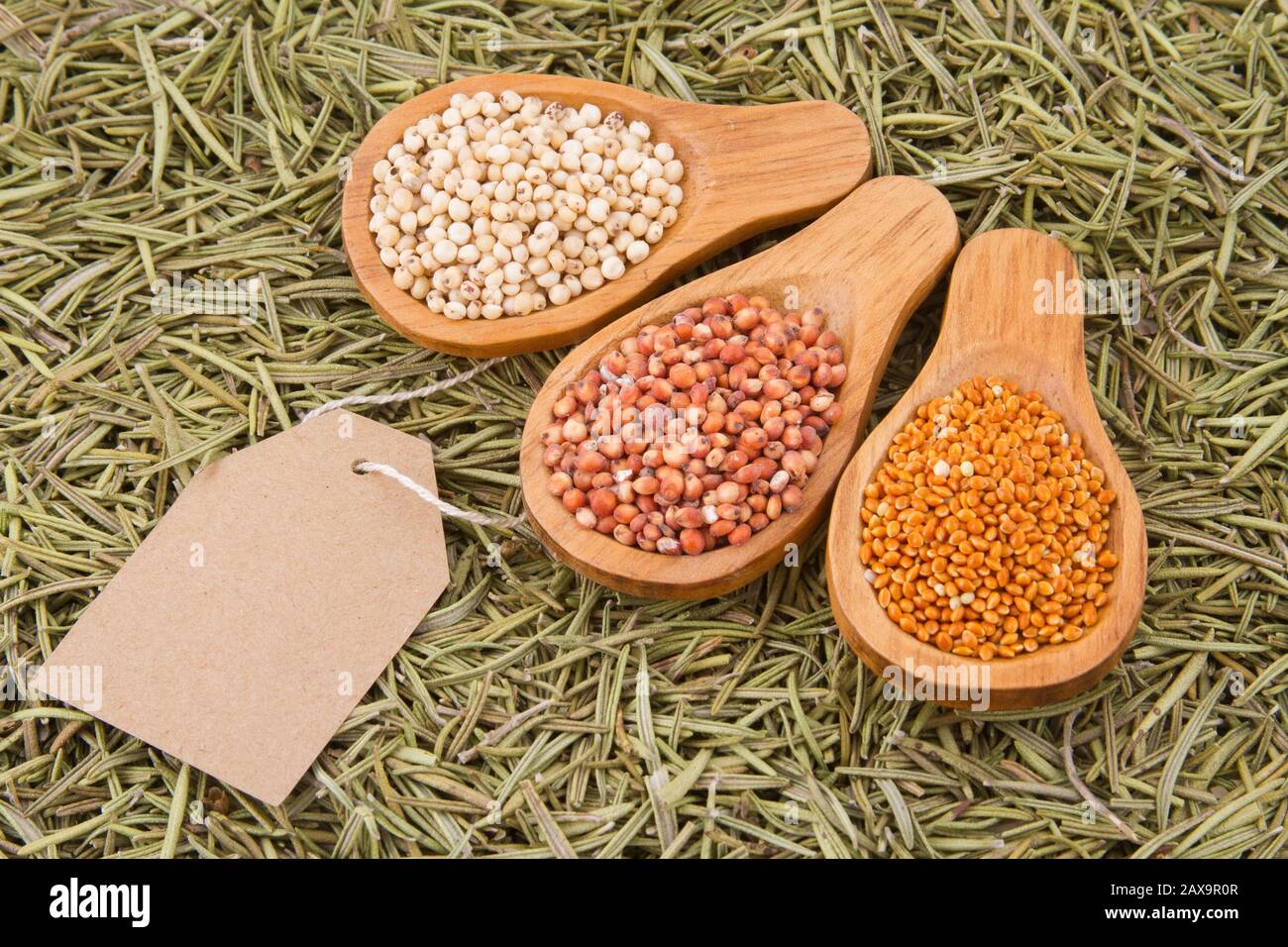 grains of red and white sorghum (Sorghum Stock Photo - Alamy