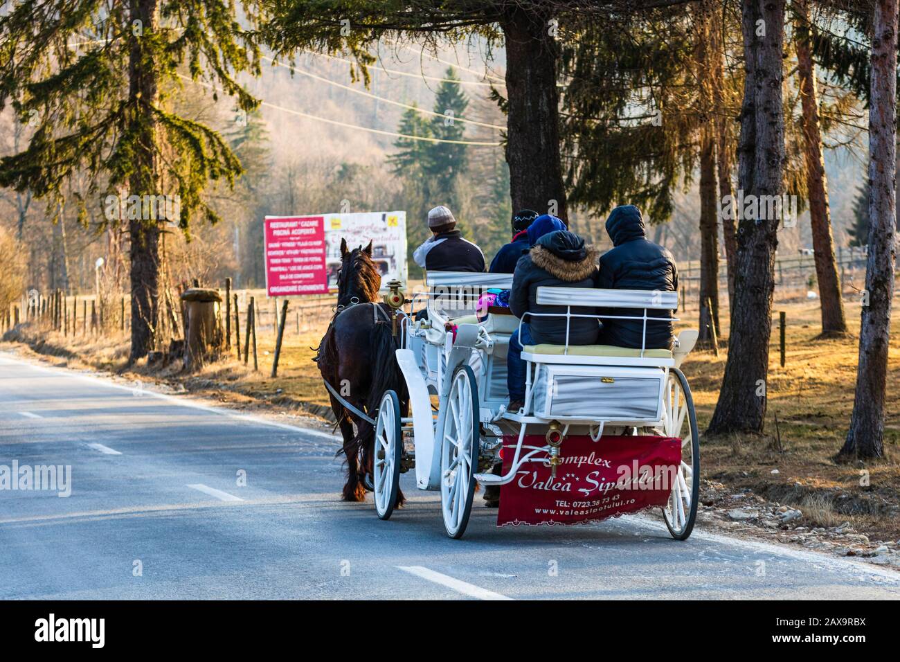 Elegant white horse carriage transportantion on the mountains roads in ...