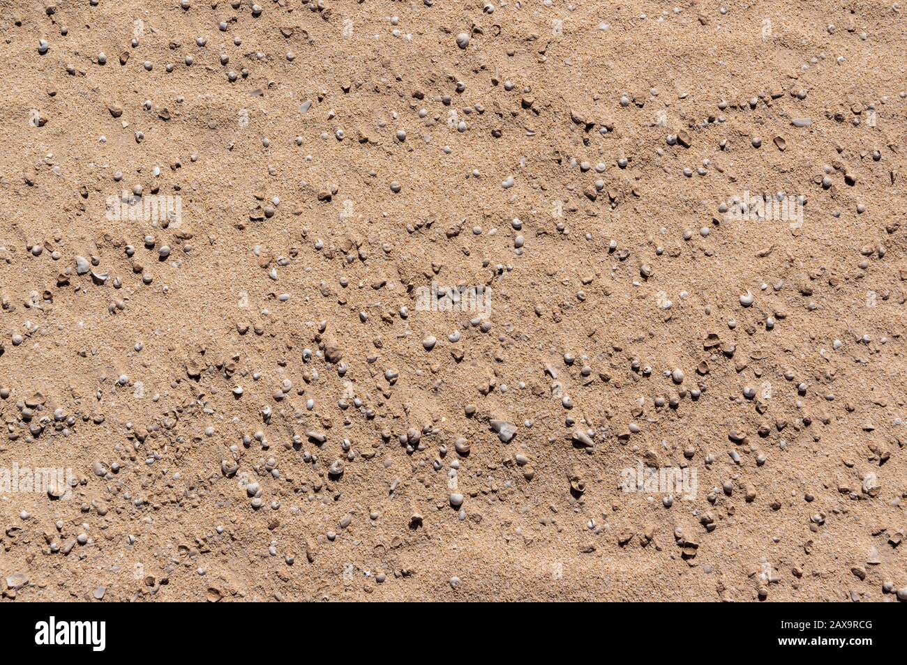 Sand and small shells texture Stock Photo - Alamy