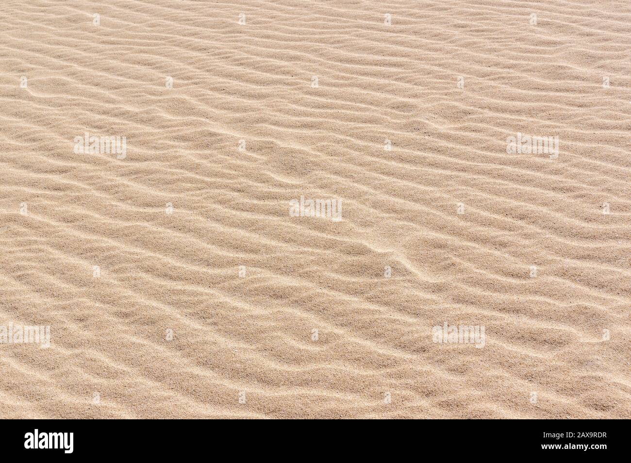 Sand surface hi-res stock photography and images - Alamy