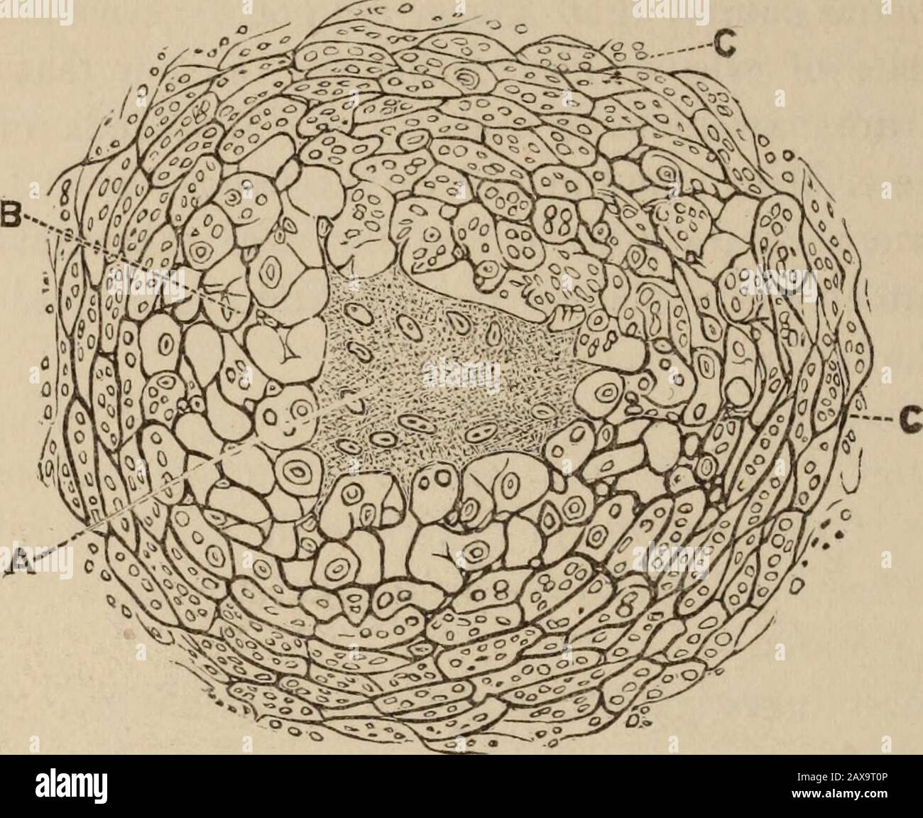 Chicago medical journal and examiner . ase originating in,or ...