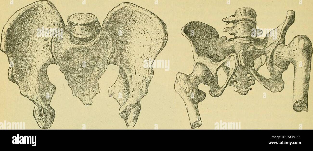 The practice of obstetrics, designed for the use of students and ...