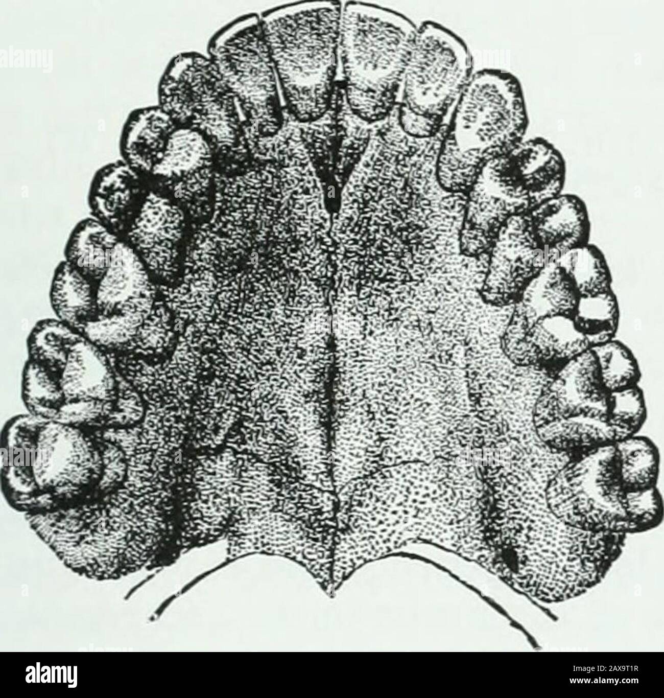 A practical treatise on the technics and principles of dental ...