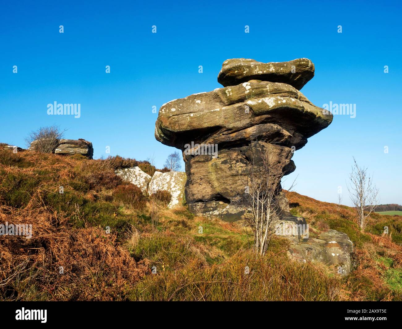 Gritstone rock formation at Hare Heads on Brimham Moor Nidderdale AONB ...