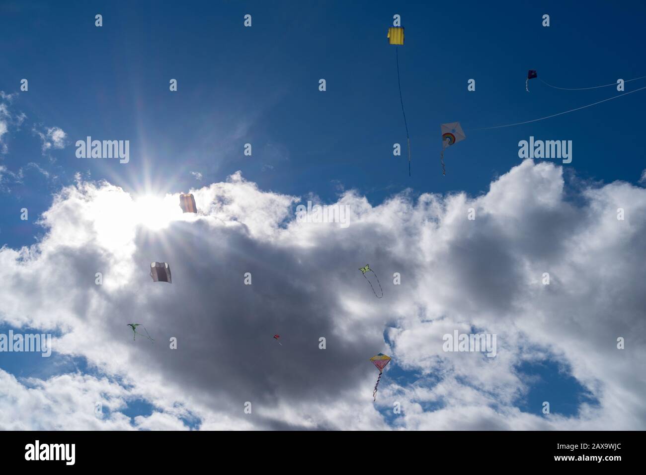 Kites are flying in the cloudy sky with the sun shining Stock Photo - Alamy