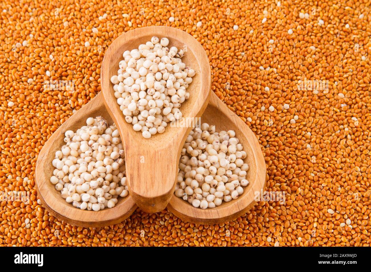 grains of red and white sorghum (Sorghum Stock Photo - Alamy