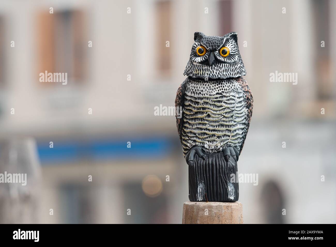 Portrait of a beautiful owl made of wood sitting on a pole Stock Photo ...