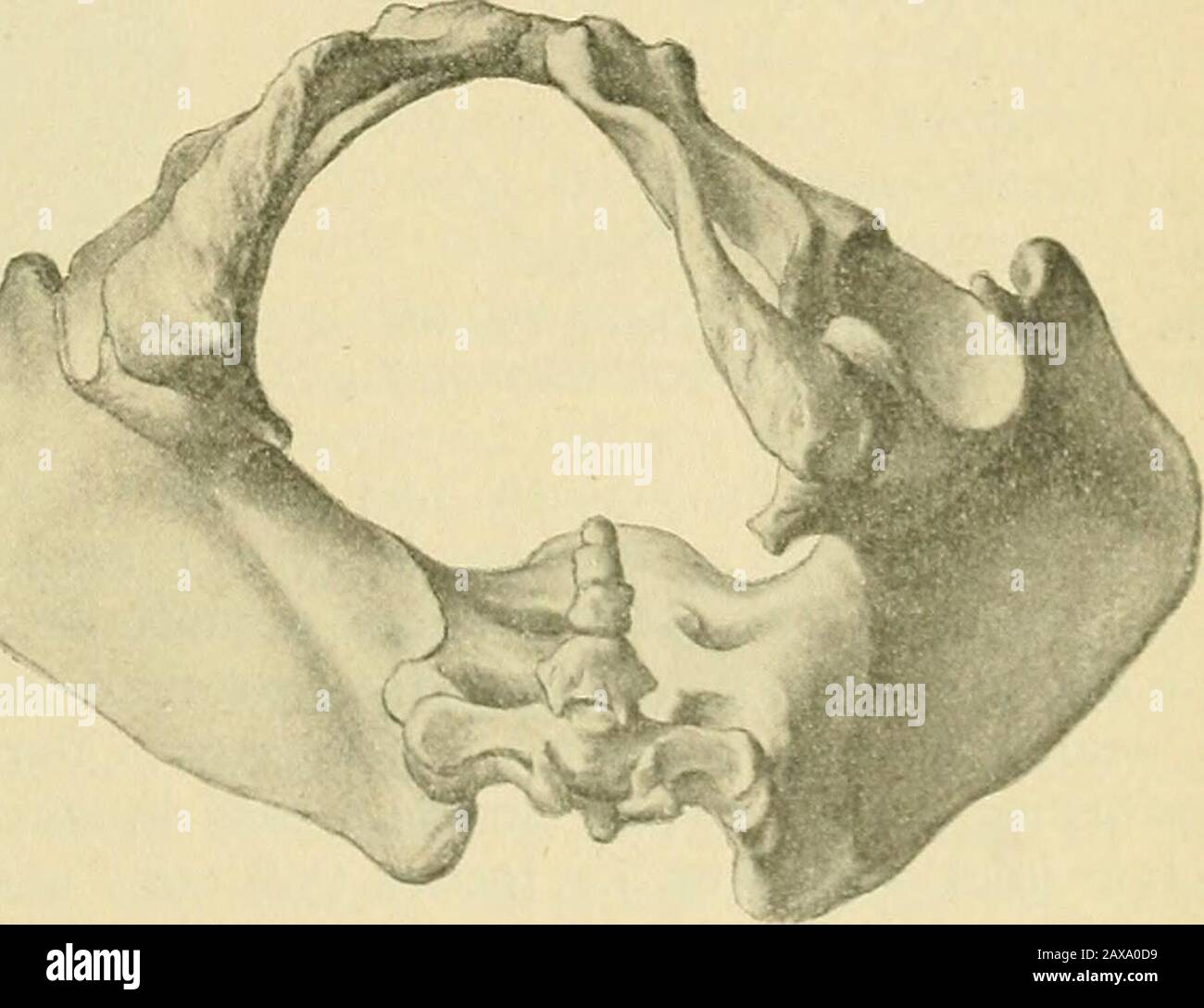 The practice of obstetrics, designed for the use of students and ...