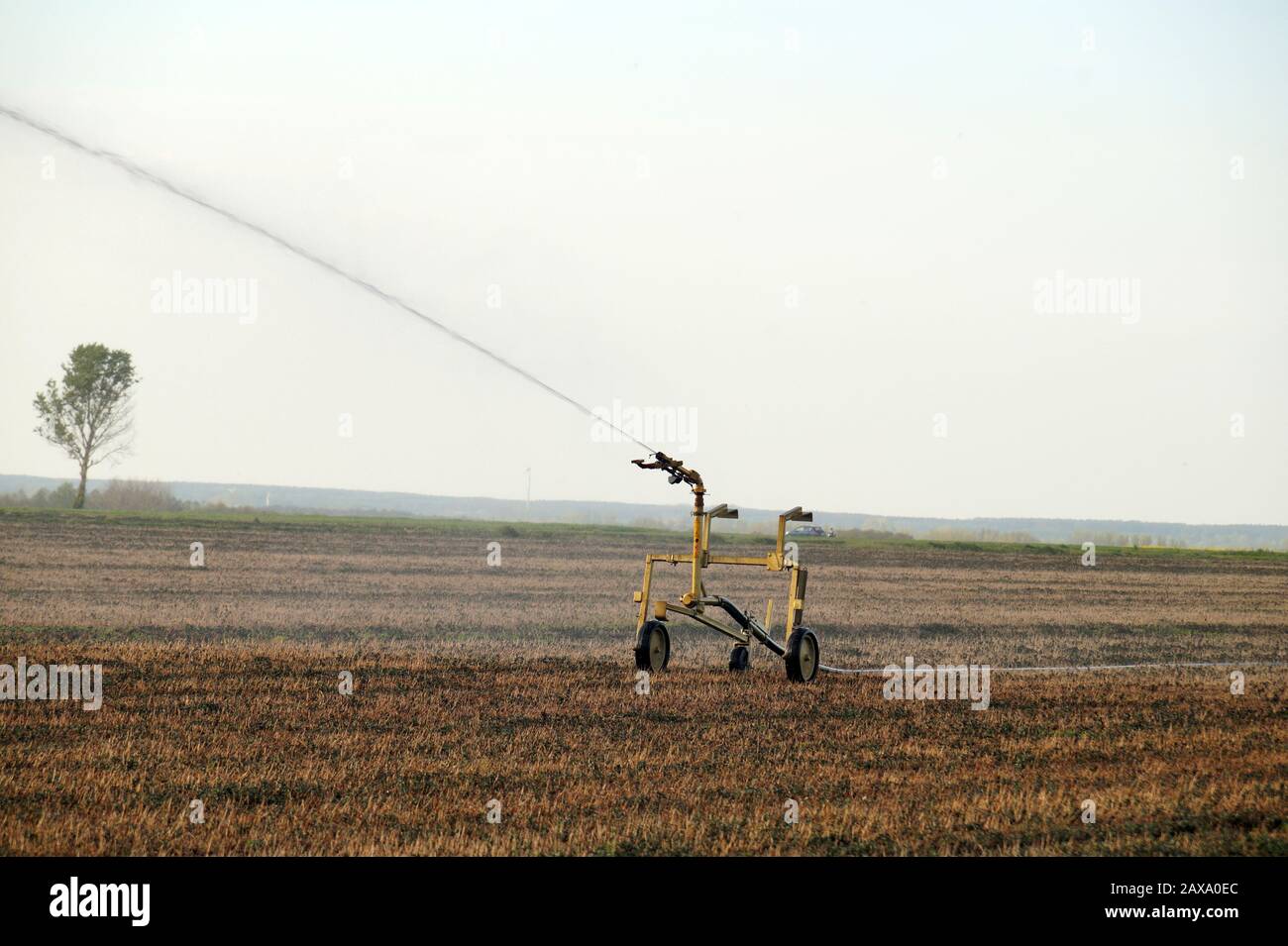 Water sprinkler installation in a field during the drought. Preparation ...