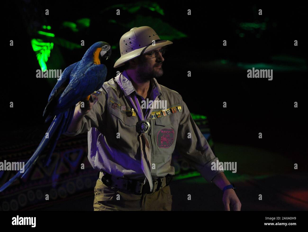 Circus parrot hi-res stock photography and images - Alamy