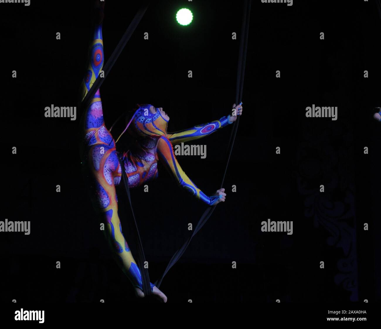 February 8, 2020, Kiev, Ukraine: An artist performs during the grand ...