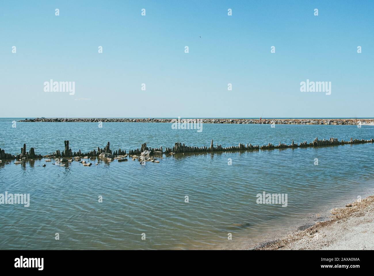 An old ruined pier with wooden logs sticking out of the water from the ...