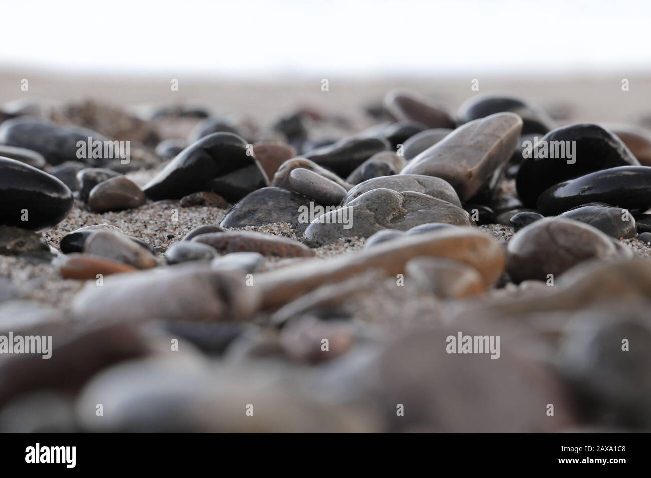 Pebble stones on the shore close up Stock Photo - Alamy