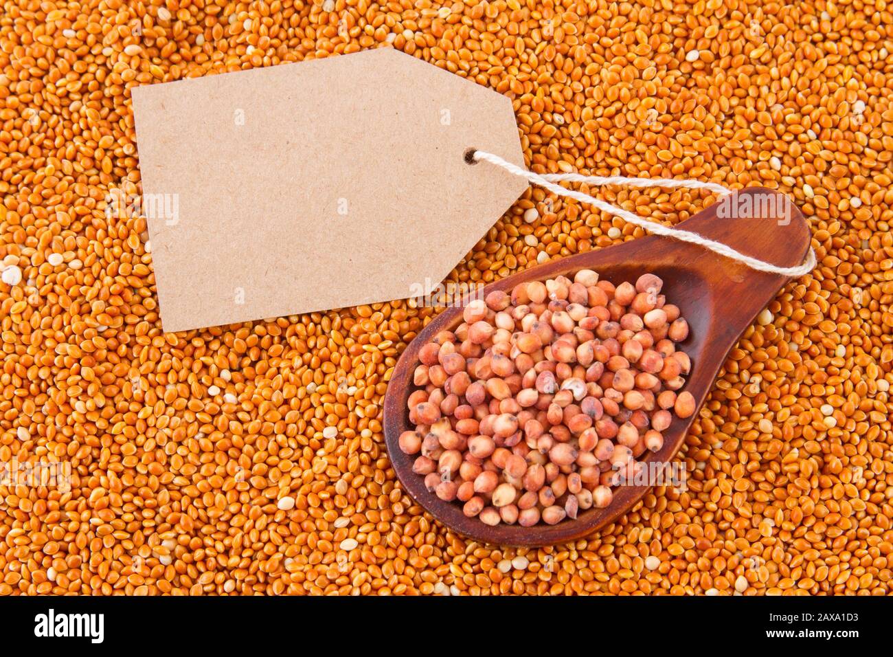 grains of red and white sorghum (Sorghum Stock Photo - Alamy