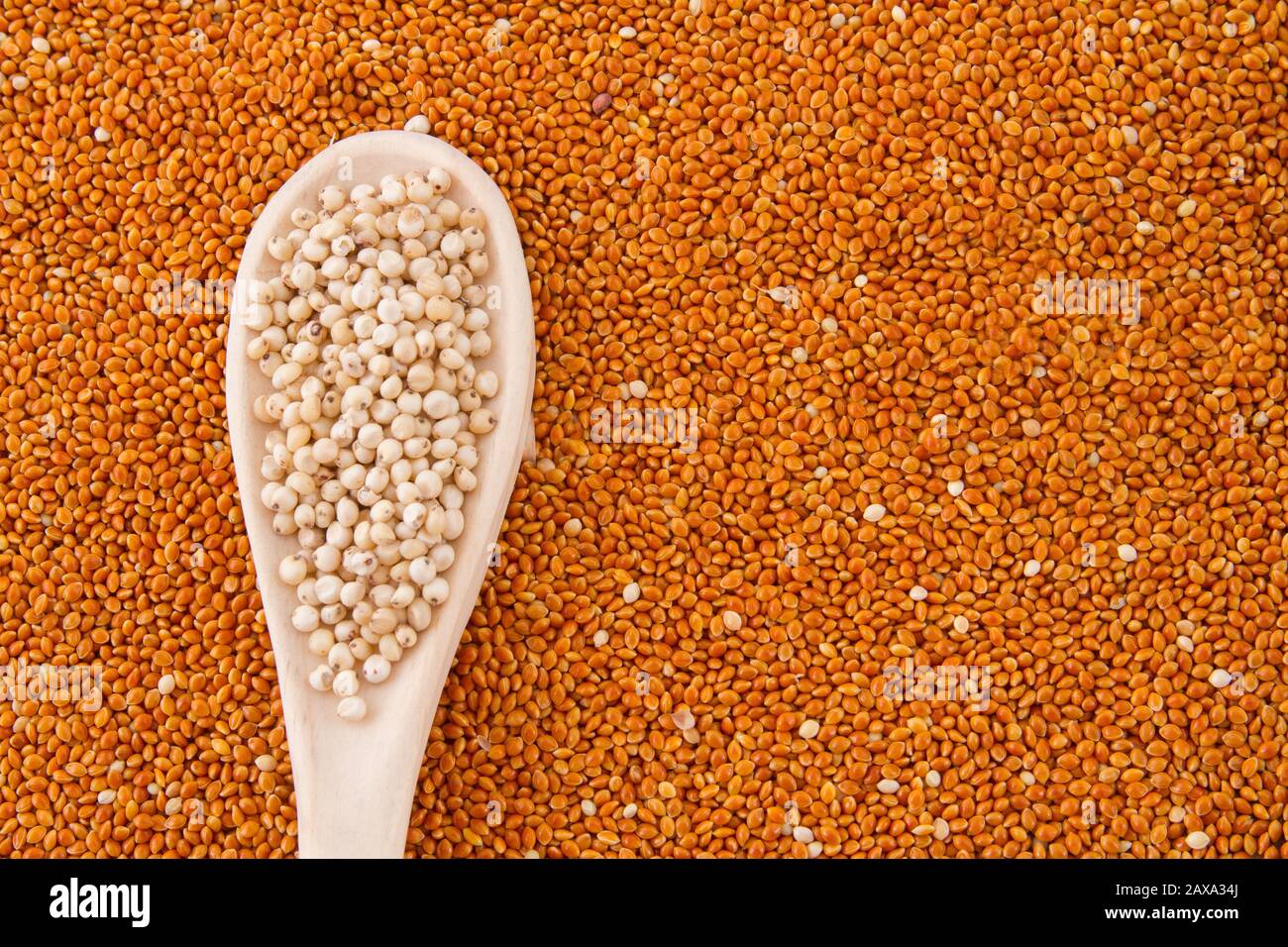 grains of red and white sorghum (Sorghum Stock Photo - Alamy