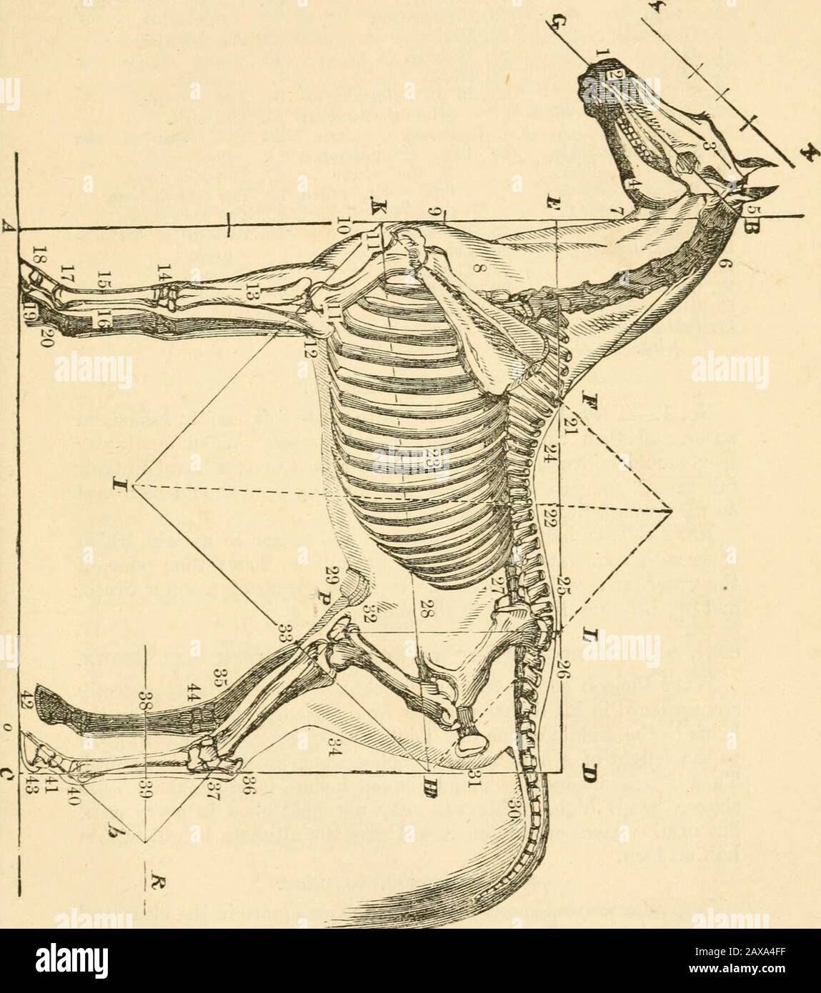 The farm, garden, stable, and aviary . ot represent the pointof the ...