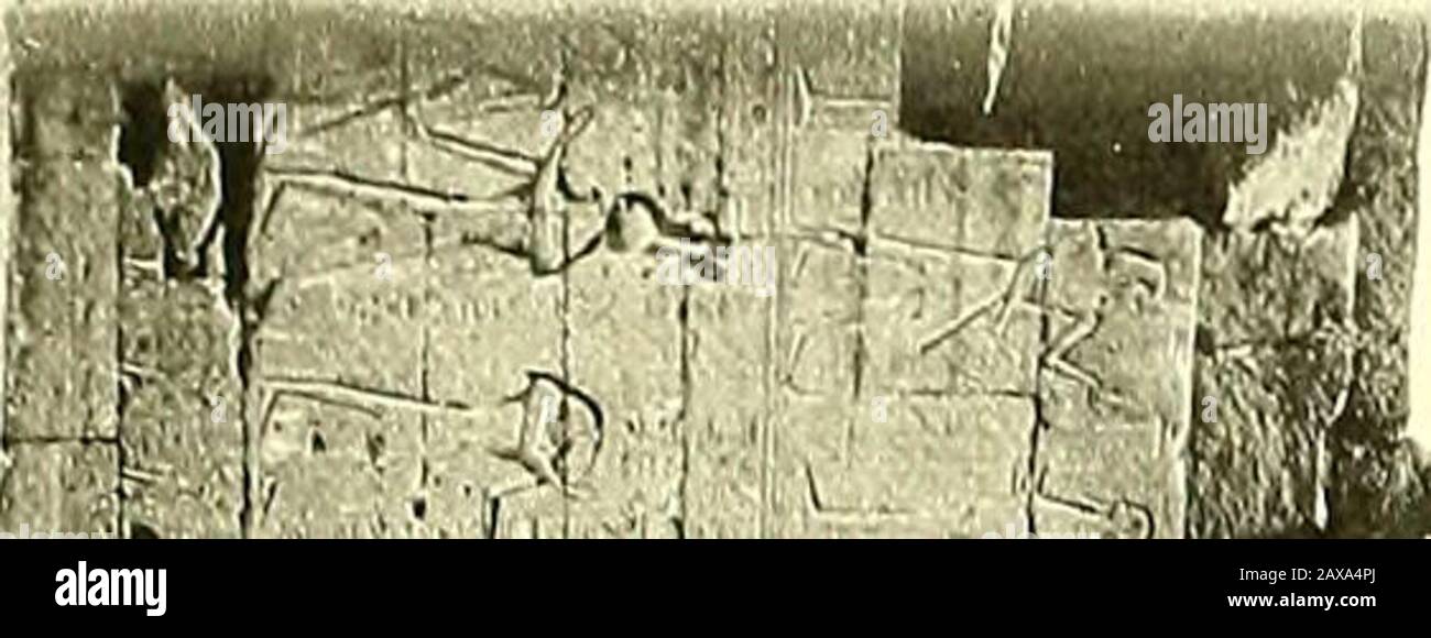 Campaniform column egypt hi-res stock photography and images - Alamy