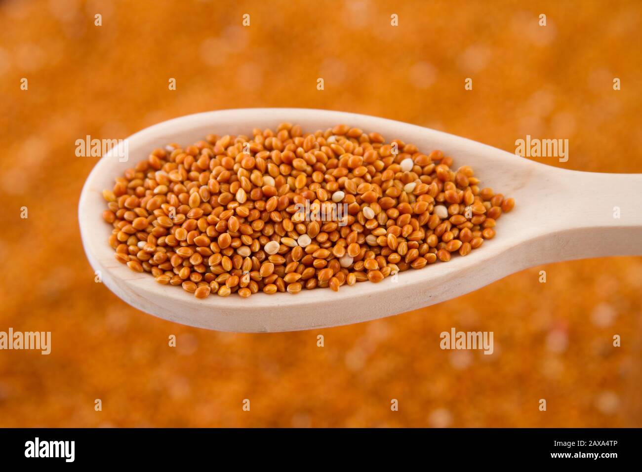 red millet grains with in wooden spoon Stock Photo - Alamy