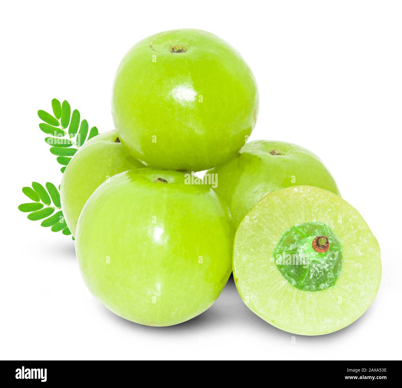 Amla green fruits ,Phyllanthus emblica isolated on white background ...