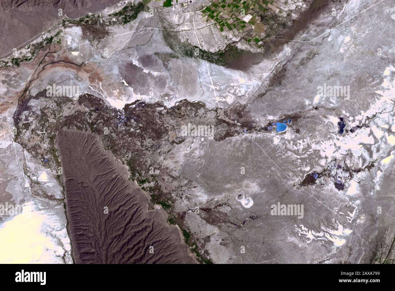 Cyanobacteria fossil hi-res stock photography and images - Alamy