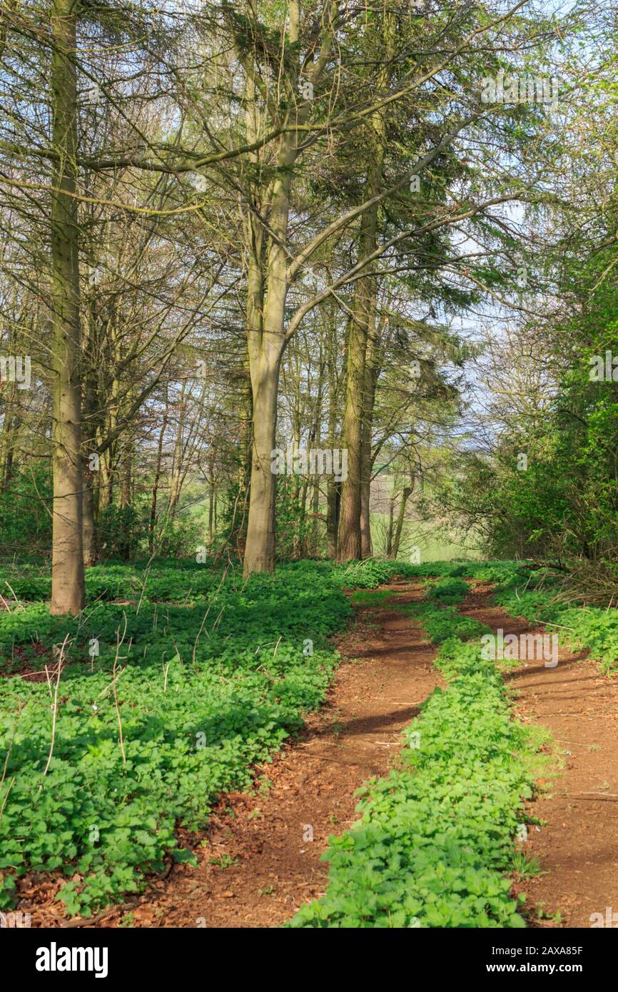 Track springtime hi-res stock photography and images - Alamy