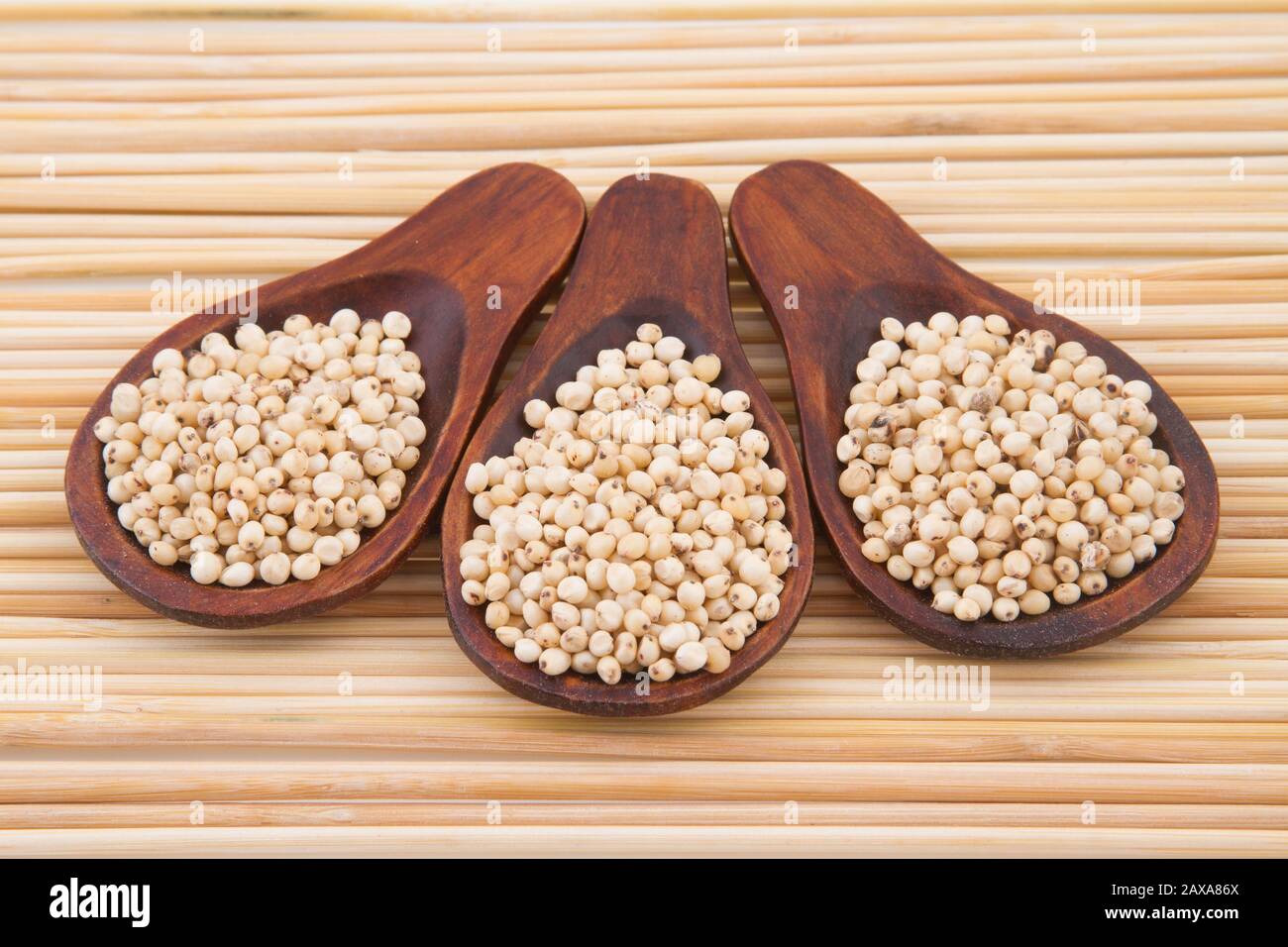 grains of red and white sorghum (Sorghum Stock Photo - Alamy