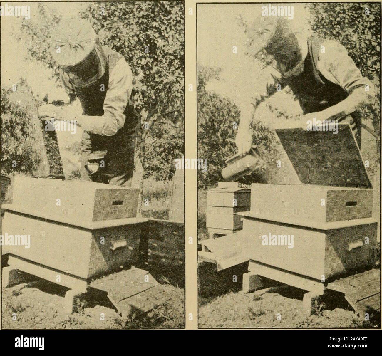 Sure instinct hi-res stock photography and images - Alamy