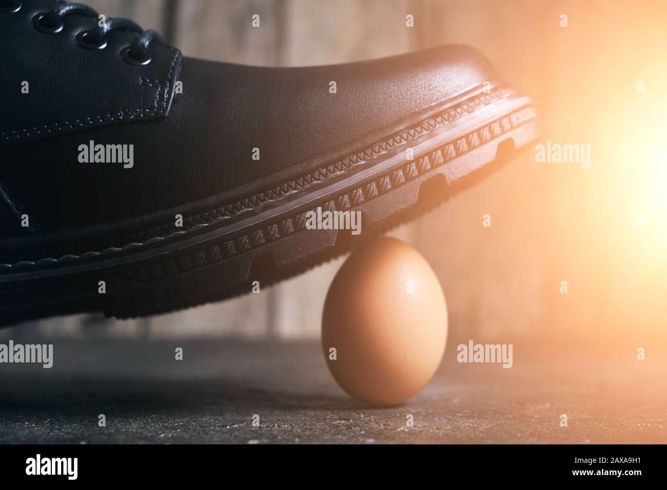 Black boot steps on a fragile chicken egg. The concept, the weak ...