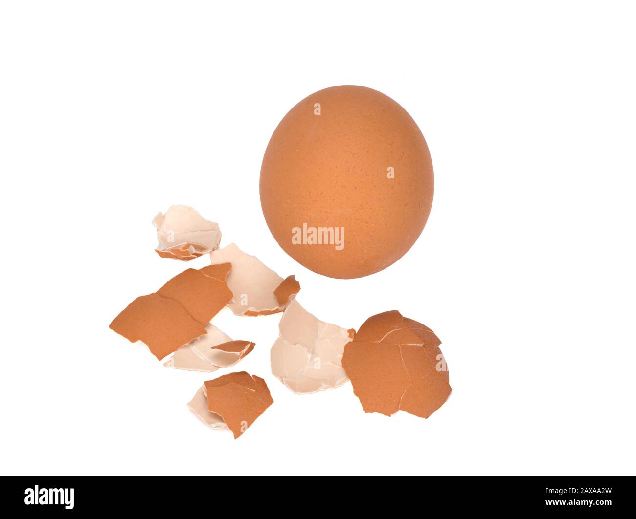 The egg and eggshell isolated on white background Stock Photo - Alamy