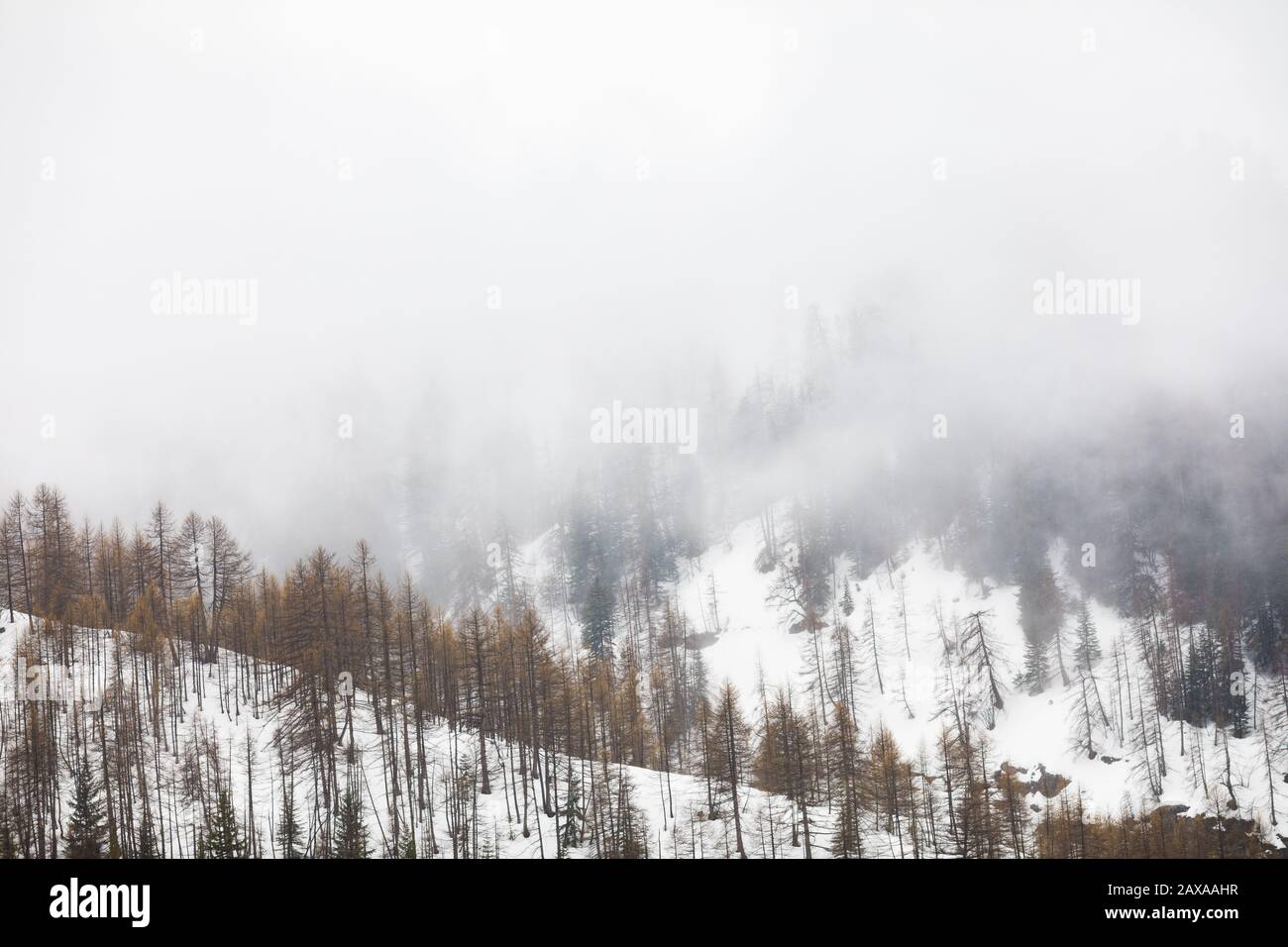 Misty landscape abstract hi-res stock photography and images - Alamy