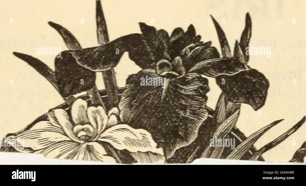 Lord rayleigh hi-res stock photography and images - Alamy