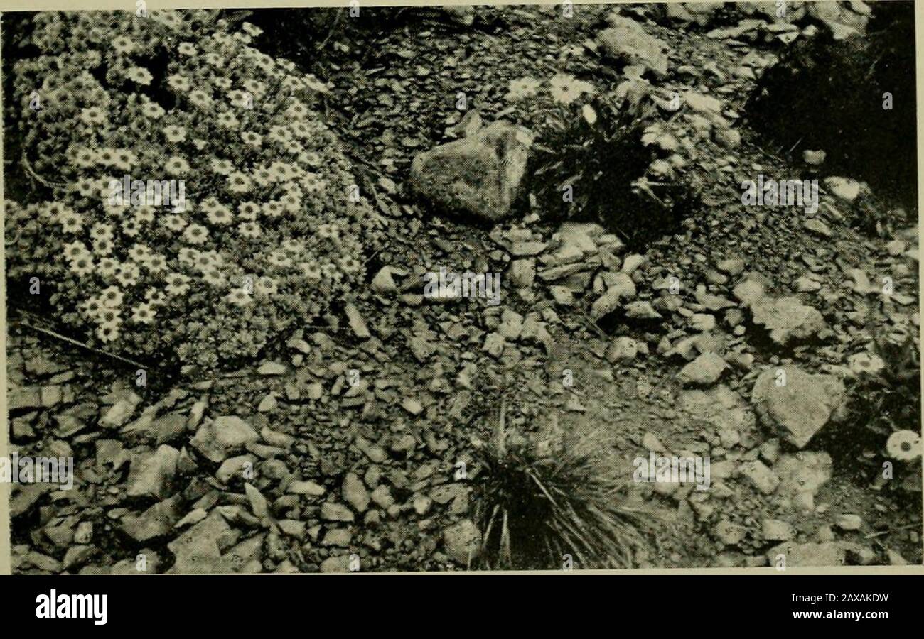 Penwiper hi-res stock photography and images - Alamy