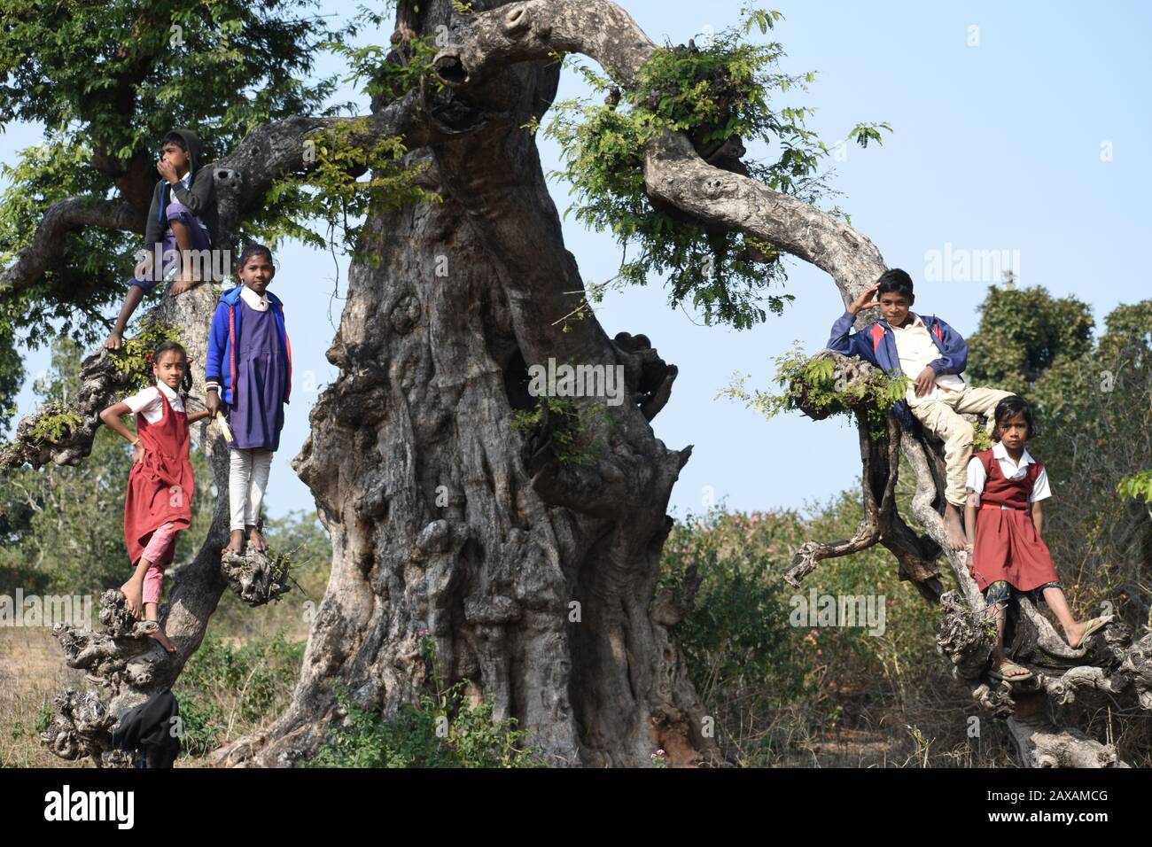 Life In A Village of India.The Villages are free from the hustle and ...