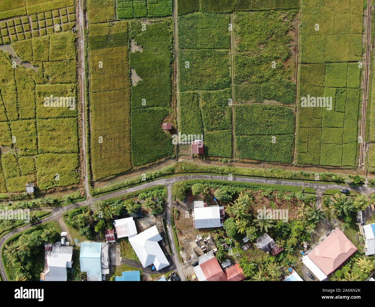 Padi field mountain hi-res stock photography and images - Alamy