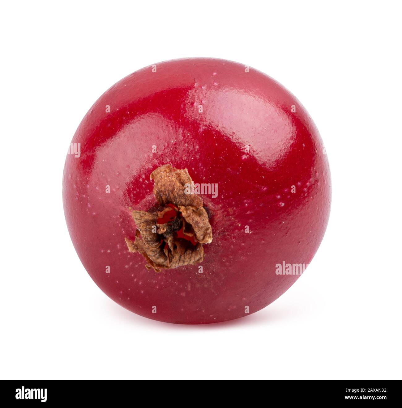 Fresh red currant isolated on white background Stock Photo - Alamy