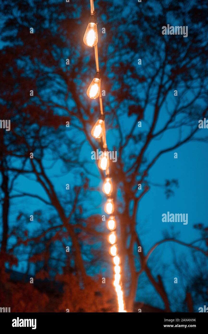 Vertical banner holiday light hi-res stock photography and images - Alamy