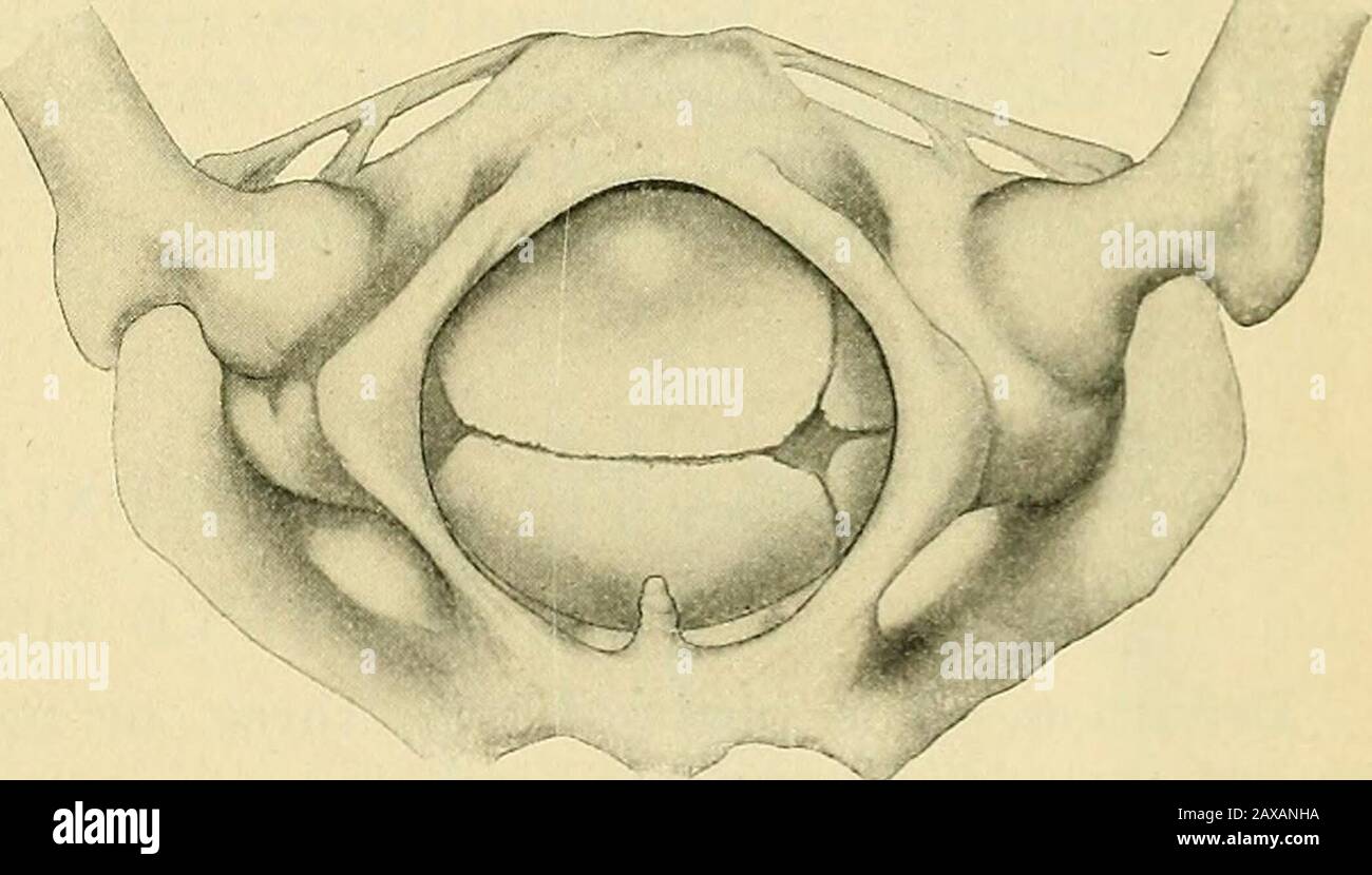 The practice of obstetrics, designed for the use of students and ...