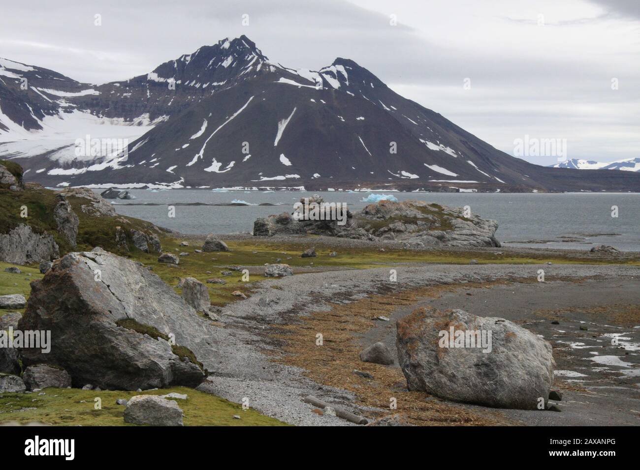 Wet summer tundra hi-res stock photography and images - Alamy