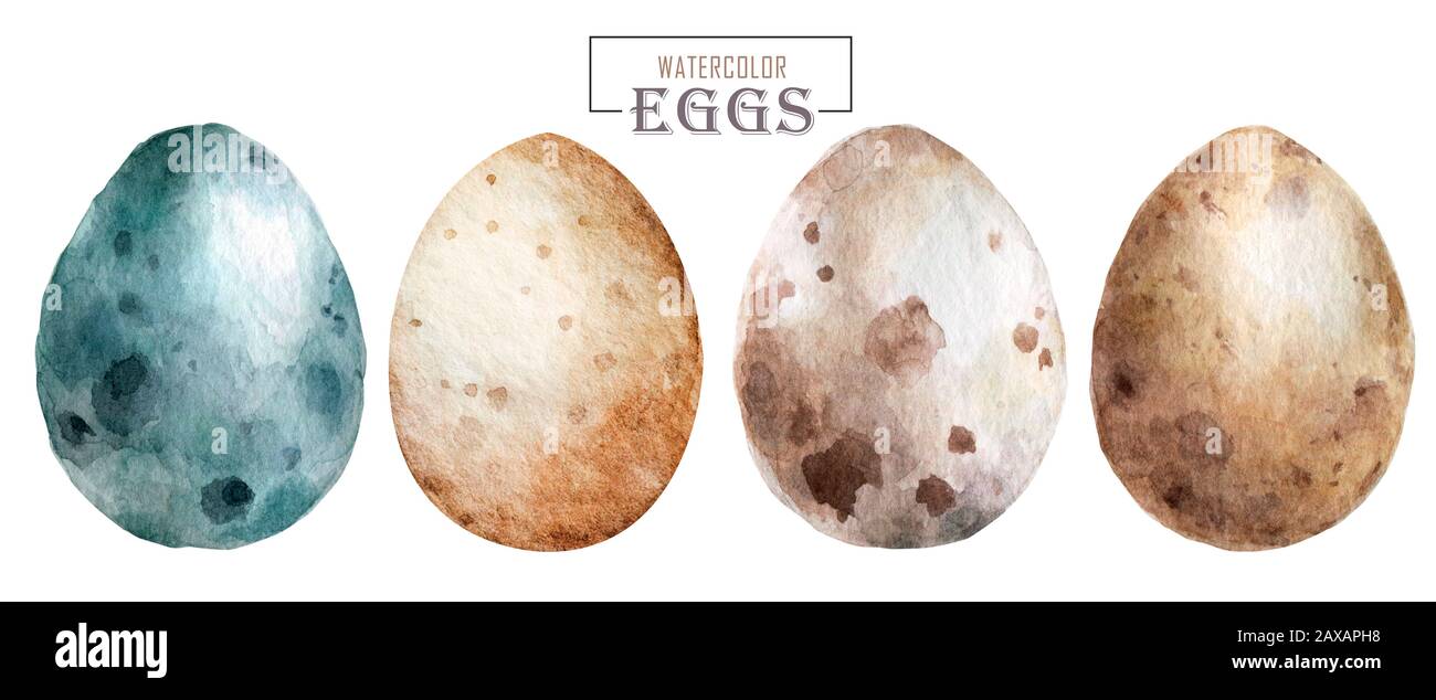 Realistic Eggs pattern on white background, Hand drawn watercolor eggs ...