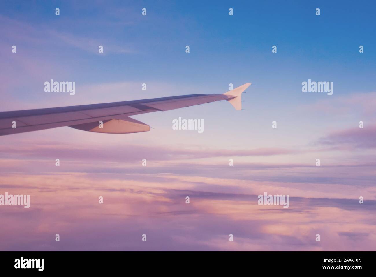 Airplane wing of the setting sun in blue and pink colors Stock Photo ...