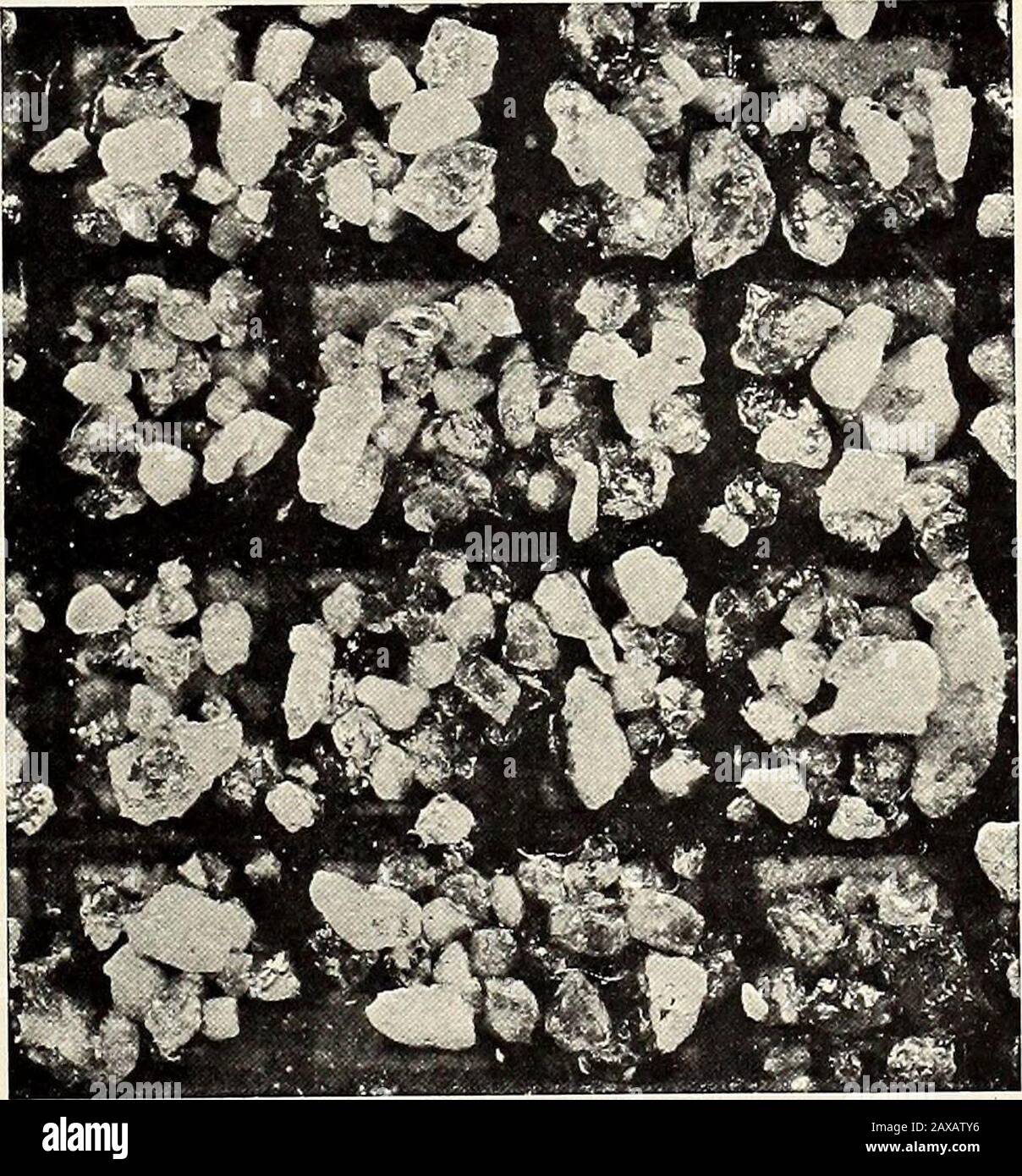 Count the grains hi-res stock photography and images - Alamy