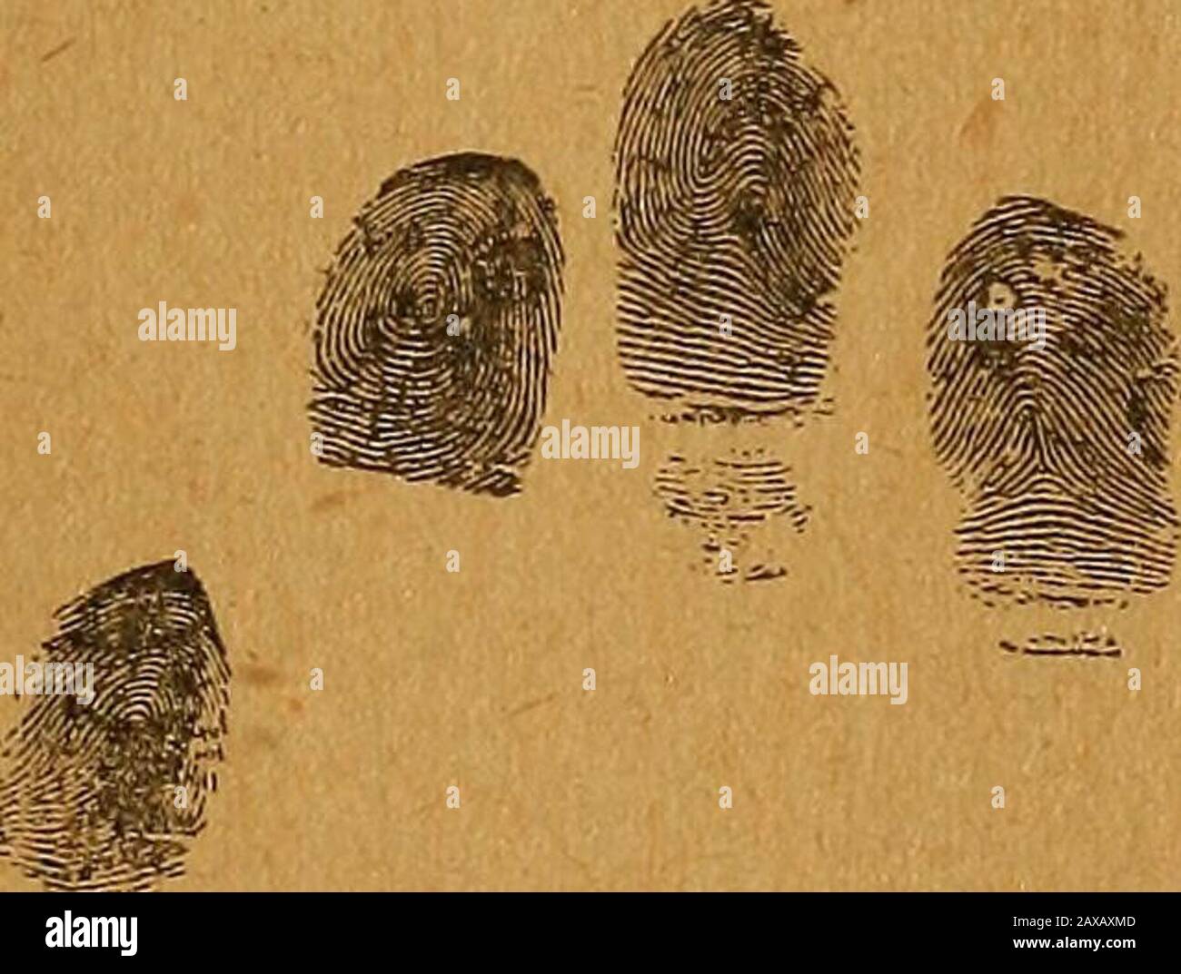 The grafters of America, who they are and how they work . ^Pold.) (Fold ...