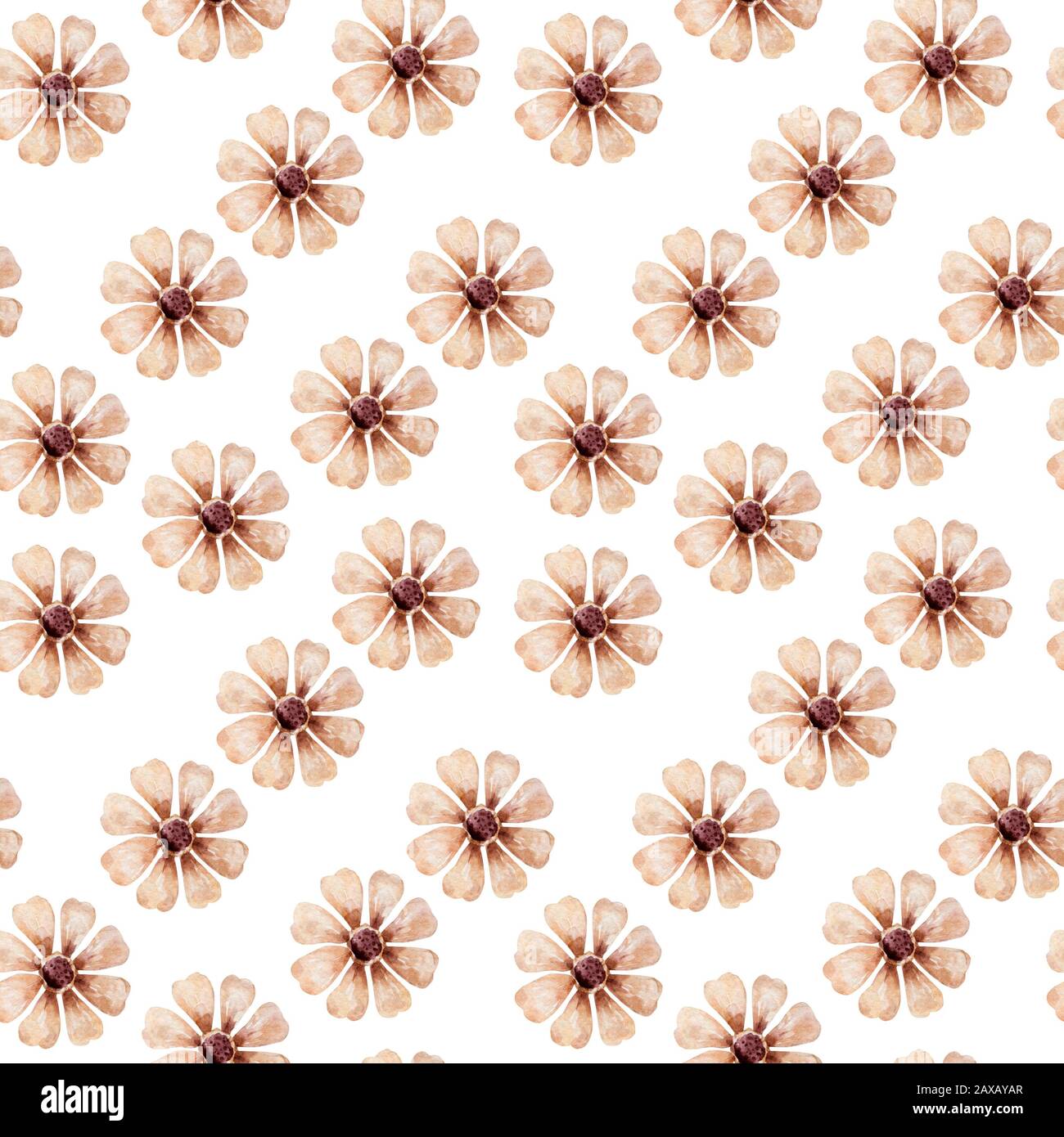 Bogo flowers seamless pattern, Watercolor chamomile on white background ...