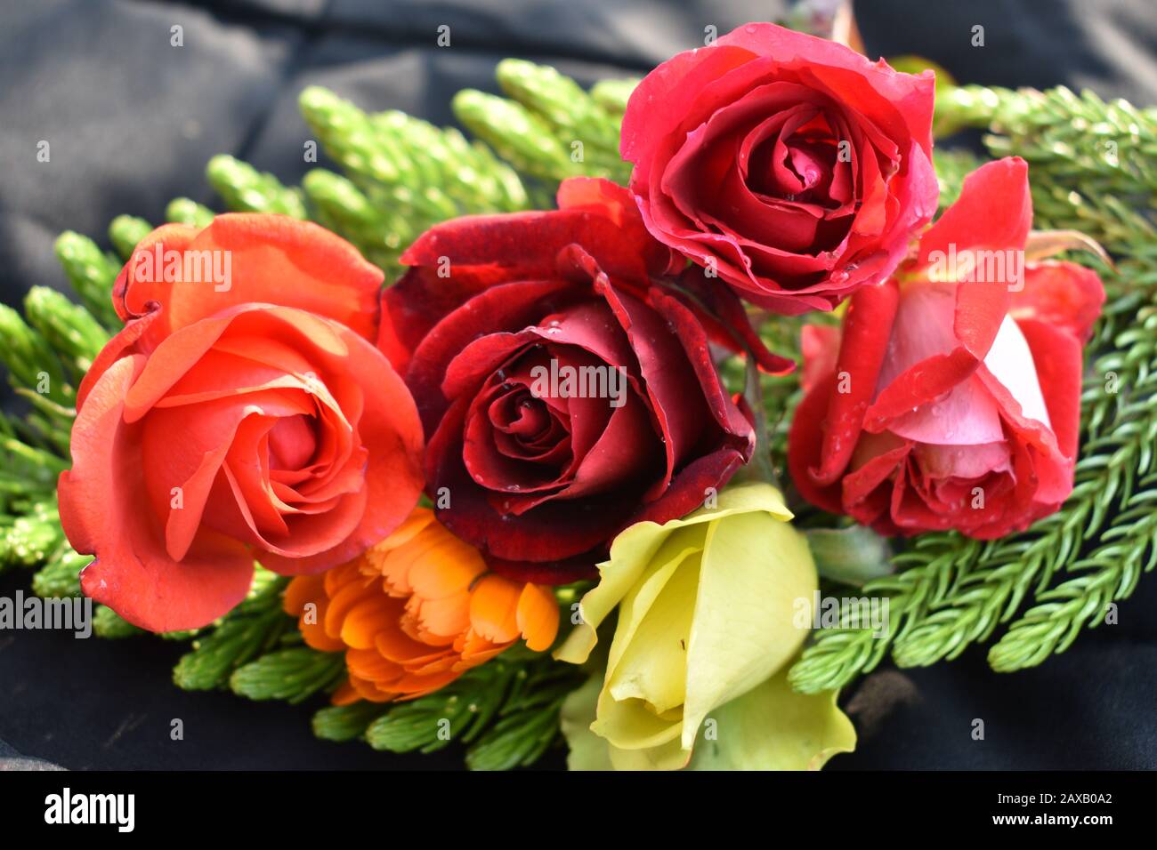 Red Roses: A red rose is an unmistakable expression of love. Red roses ...