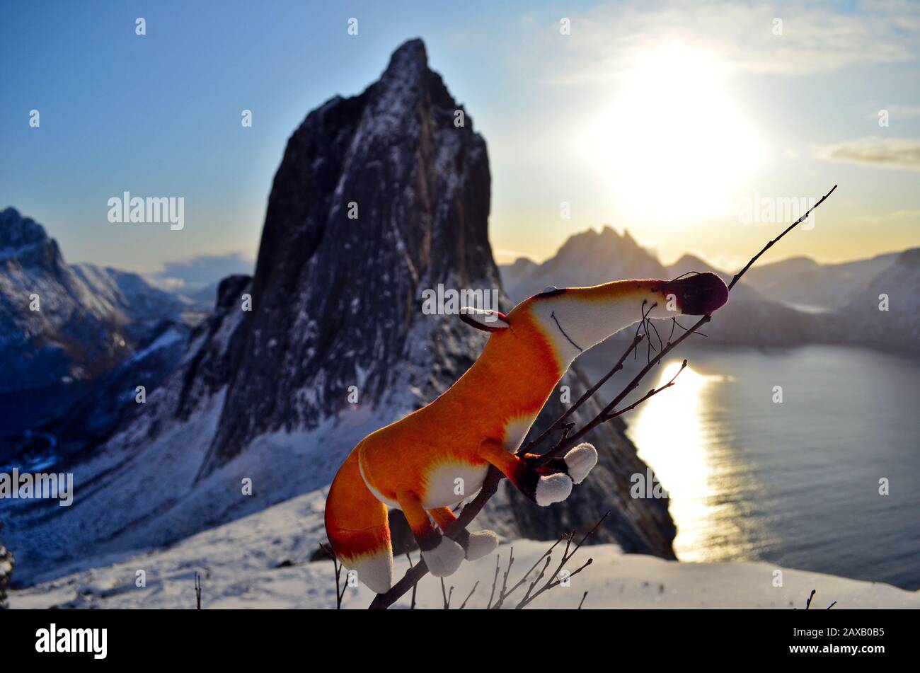 Fox puppet hi-res stock photography and images - Alamy