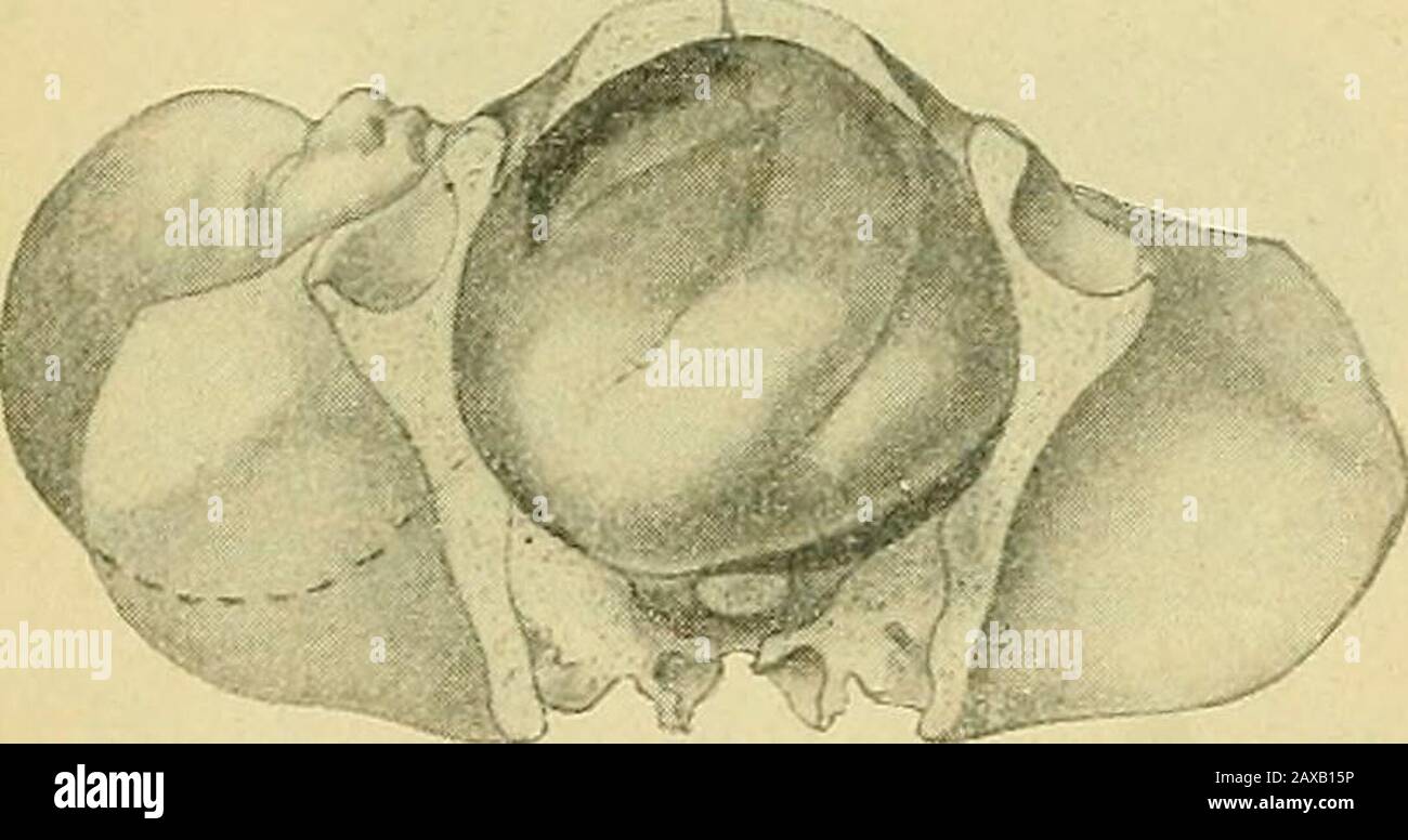 The practice of obstetrics, designed for the use of students and ...